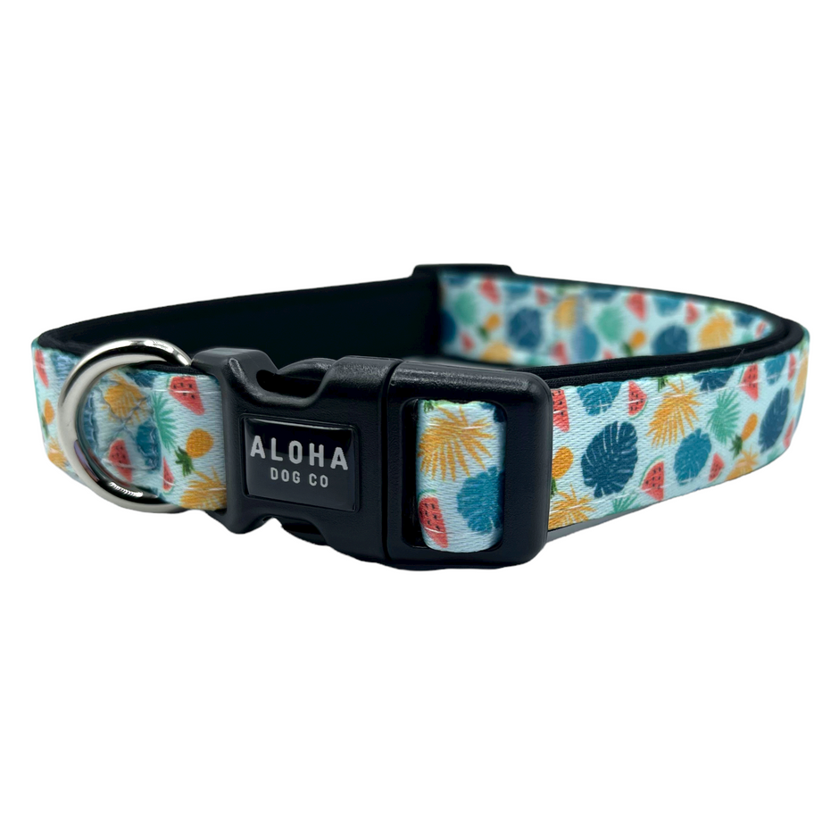 Aloha Dog Co: Hawaii Tropical Dog Collars & Leashes